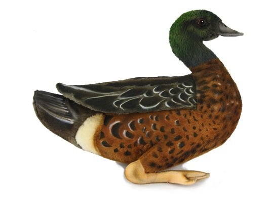 Hansa Creations - Male Chestnut Teal Duck – The Little Toy Shop